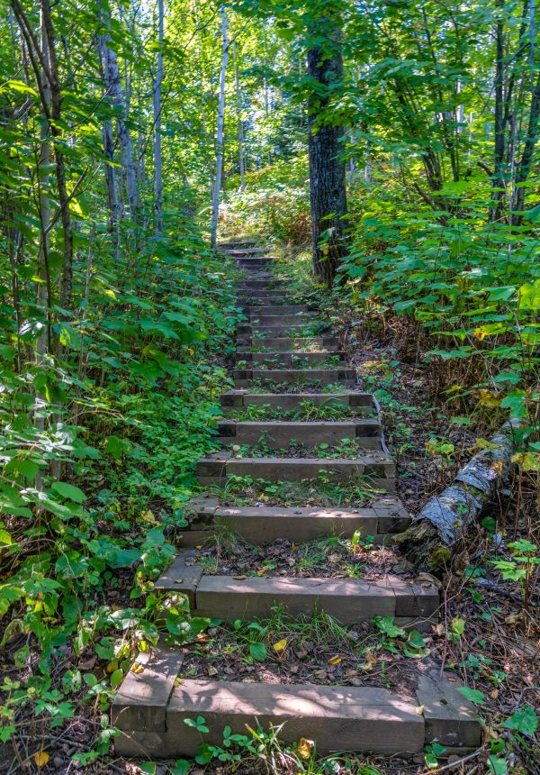 How to Run Properly (4 Steps for Beginners) | Nerd Fitness