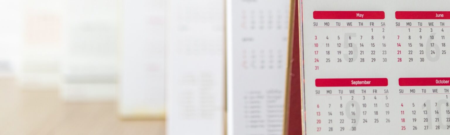 The (Best) 20-Min Leg Day Workout for Home